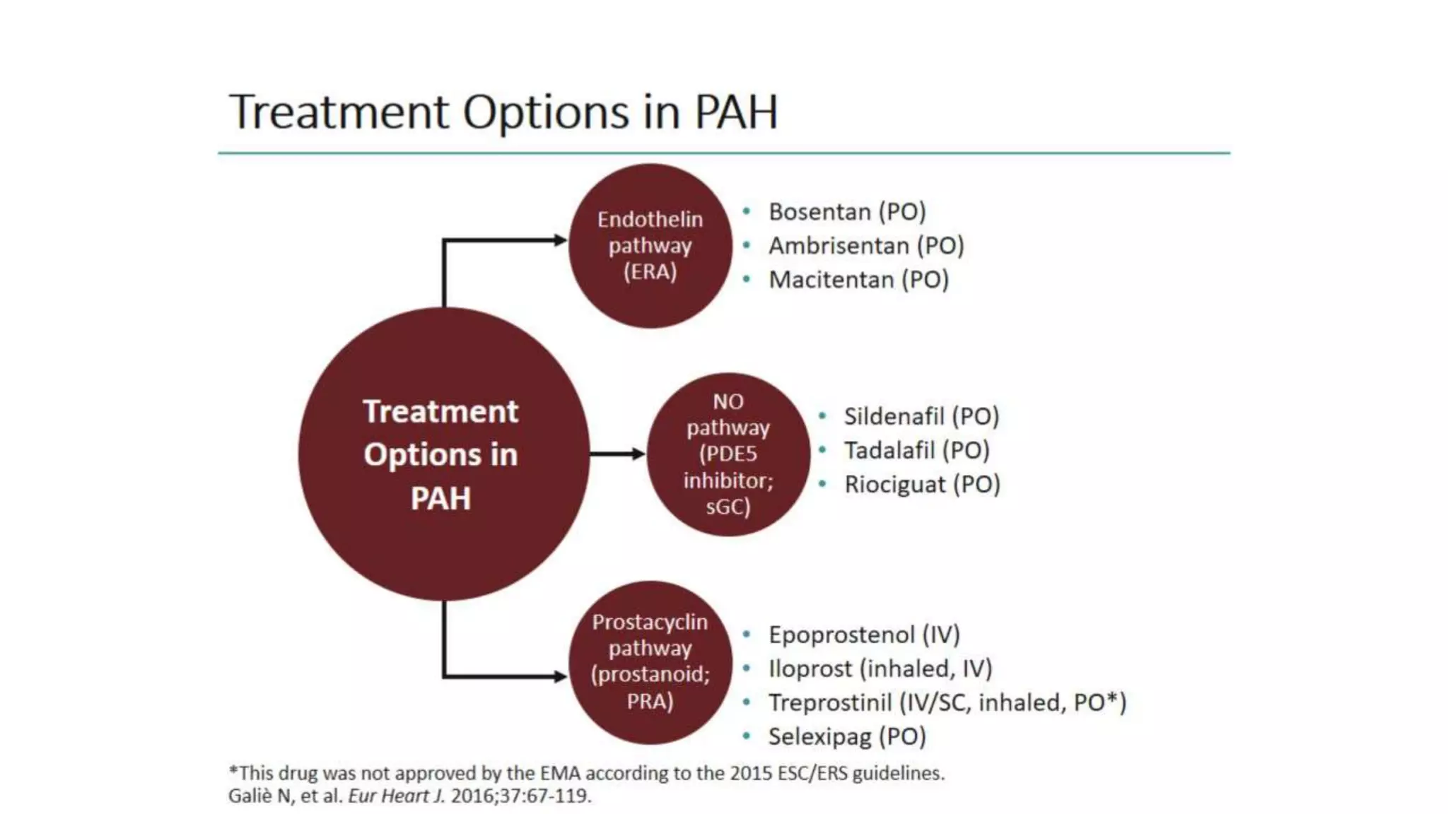 Management of PAH.pptx