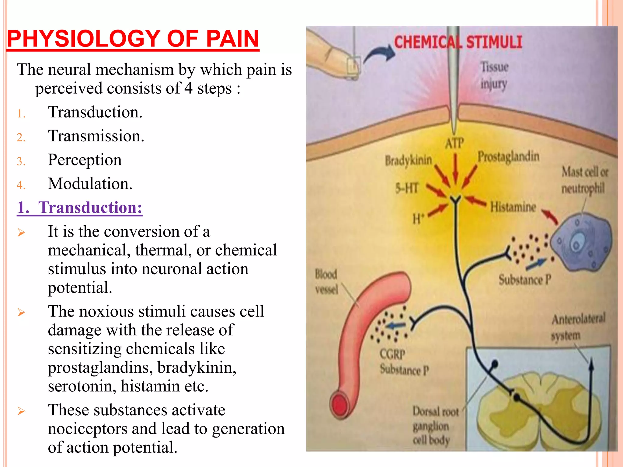 pain and its management | PPTX