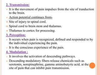 pain and its management | PPTX | Brain and Nervous System Disorders ...