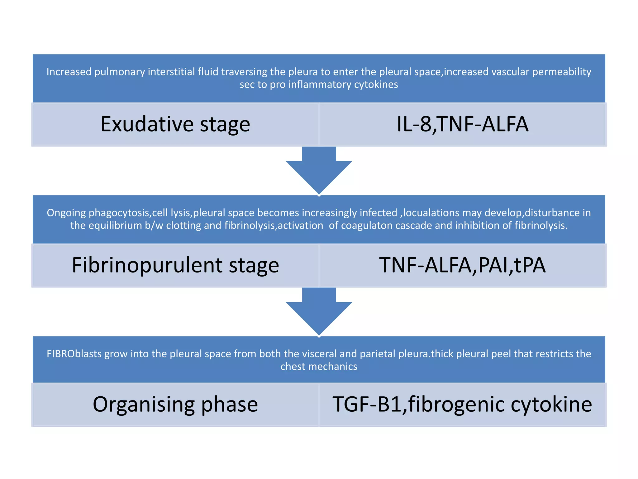 Management of Parapneumonic Effusion and Empyema | PPTX