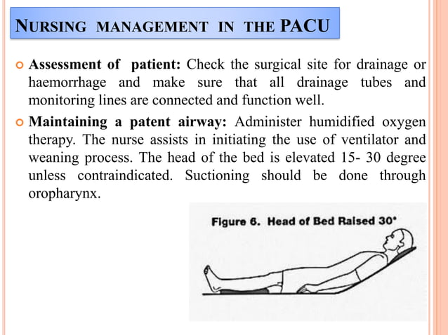 Management Of Patient Undergoing Surgery | PDF
