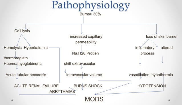 Management of patient with burns | PPTX | First Aid | Injuries