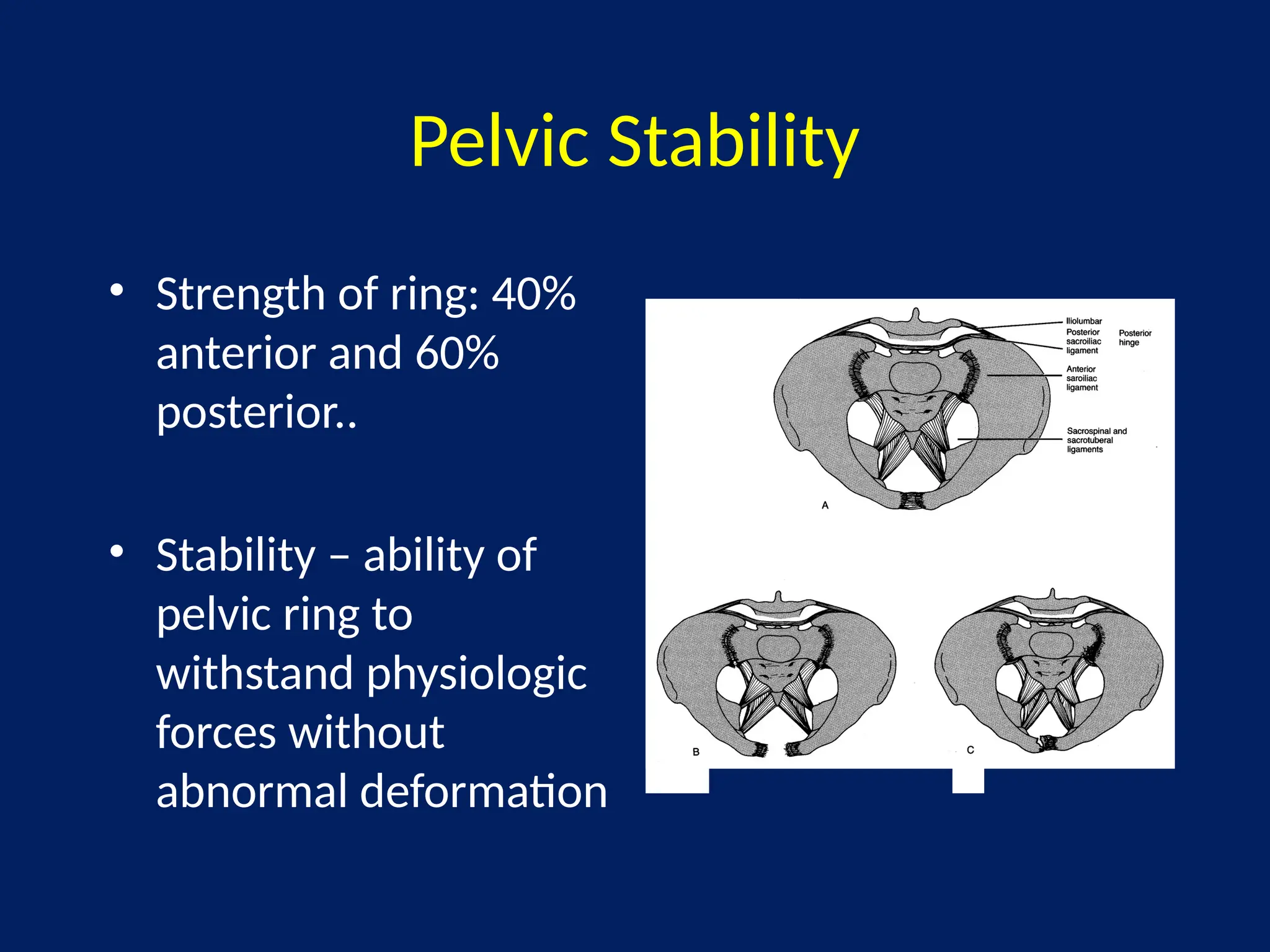 MANAGEMENT OF PELVIC FRACTUREMANAGEMENT OF PELVIC FRACTUREMANAGEMENT OF ...