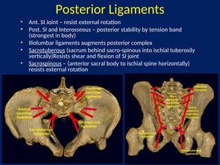 MANAGEMENT OF PELVIC FRACTUREMANAGEMENT OF PELVIC FRACTUREMANAGEMENT OF ...