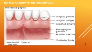 Management of Periodontal Pockets | PPTX