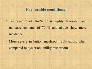 Management of pest and diseases of mushroom | PPT