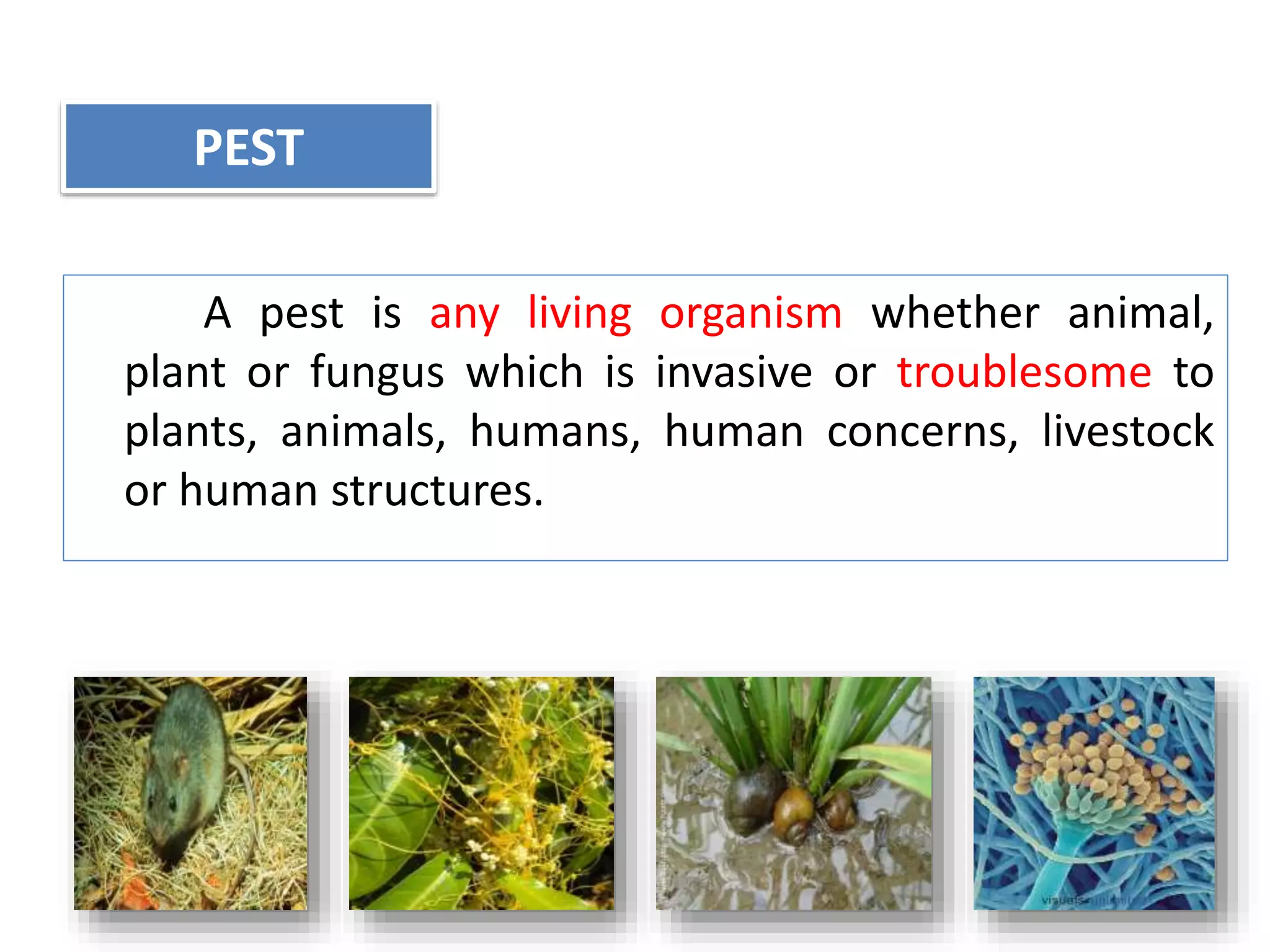 Management of pests through agronomic practices | PPTX