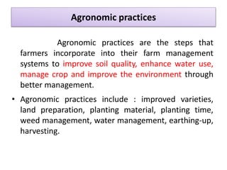 Management of pests through agronomic practices | PPTX