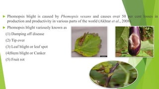 Management of Phomopsis blight.pptx | Gardening | Home & Garden