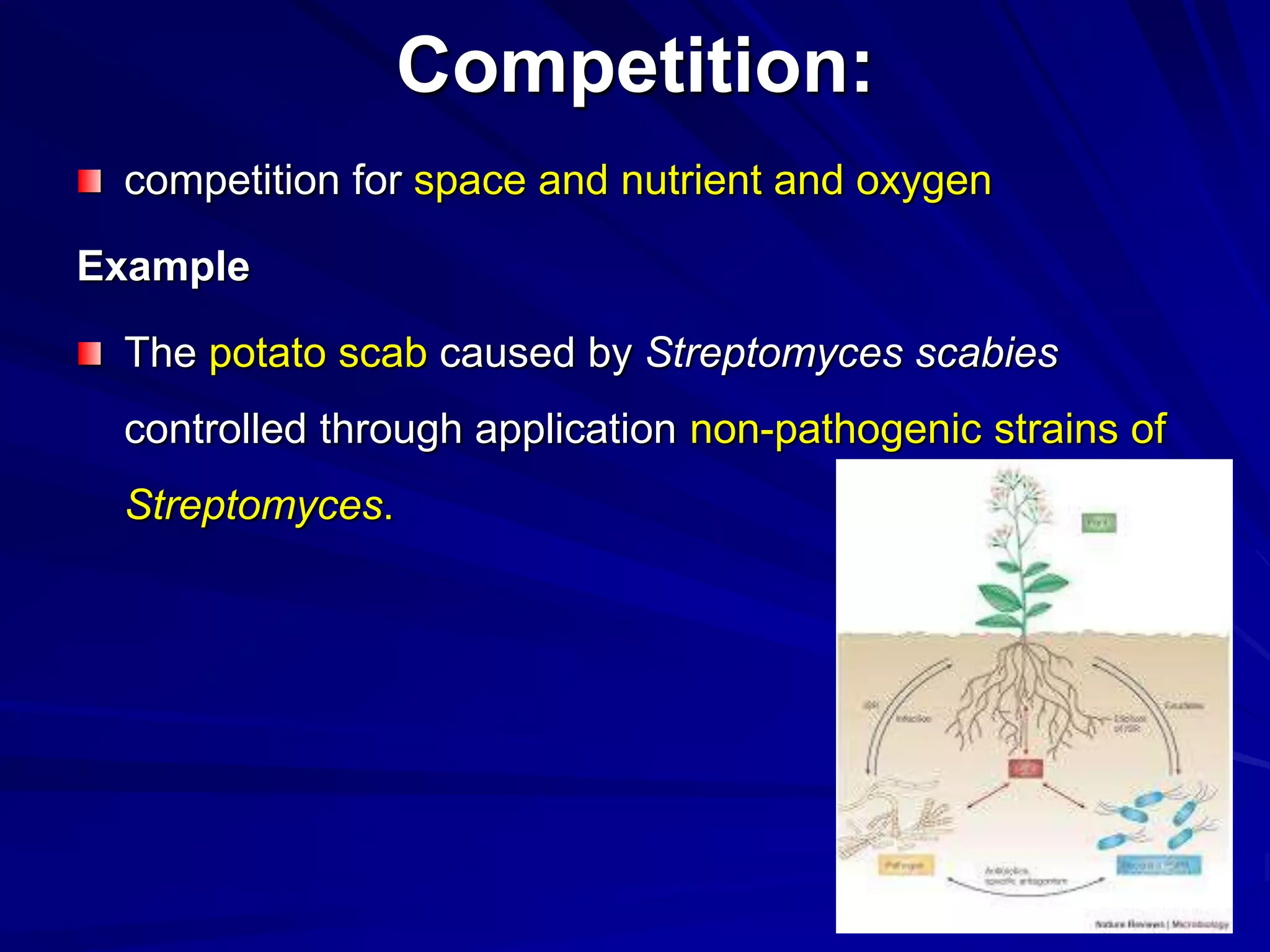 Management of plant bacterial diseases –cultural,mechanical and | PPTX