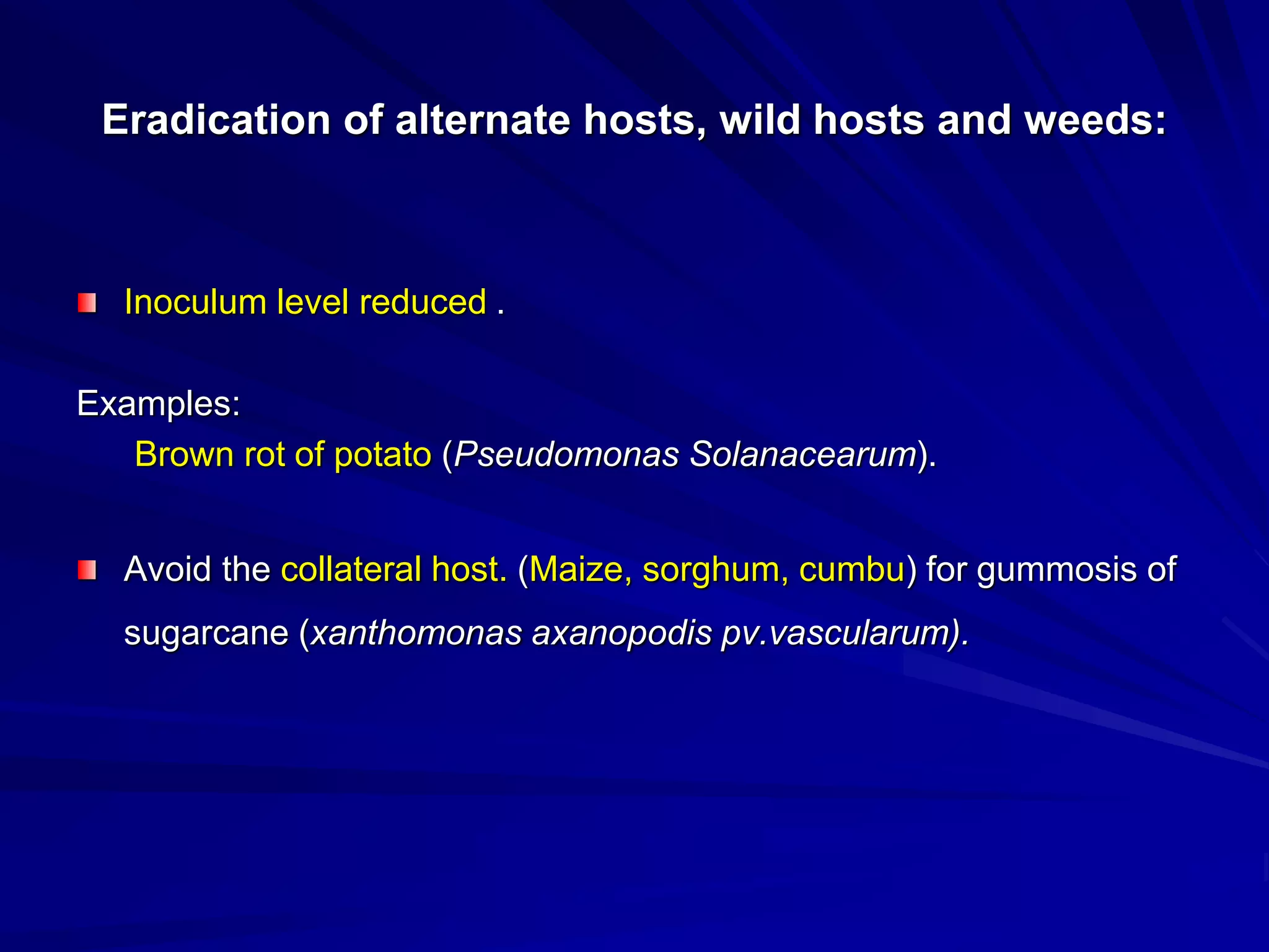Management of plant bacterial diseases –cultural,mechanical and | PPTX