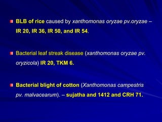 Management of plant bacterial diseases –cultural,mechanical and | PPTX