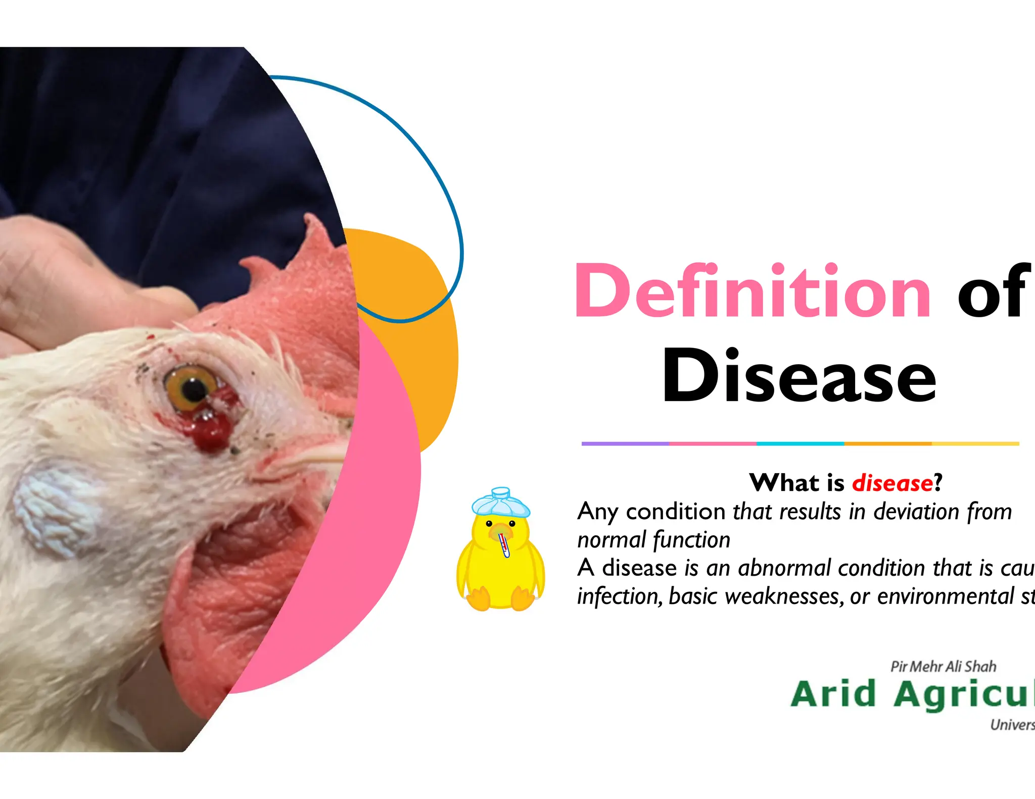 Management of Poultry Diseases At Poultry Farm | PDF