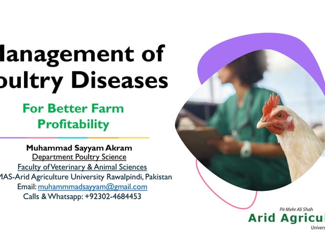 Management of Poultry Diseases At Poultry Farm | PDF
