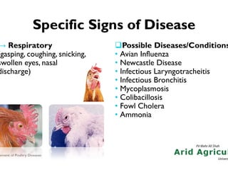 Management of Poultry Diseases At Poultry Farm | PDF