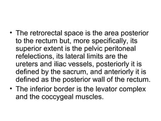 Retrorectal Space