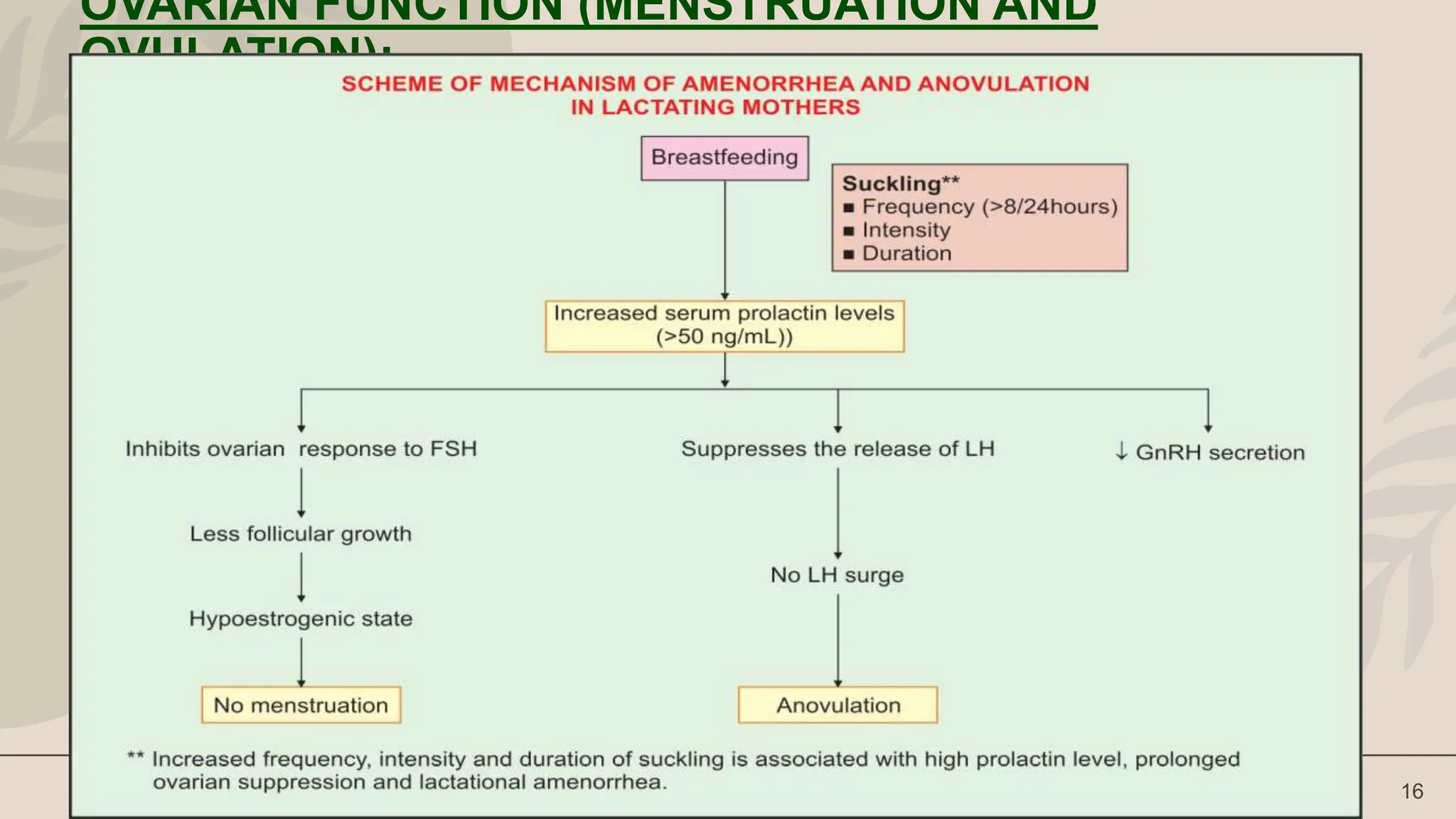 Management of puerperium.pptx, Gynecology and obstetrical Nursing ...