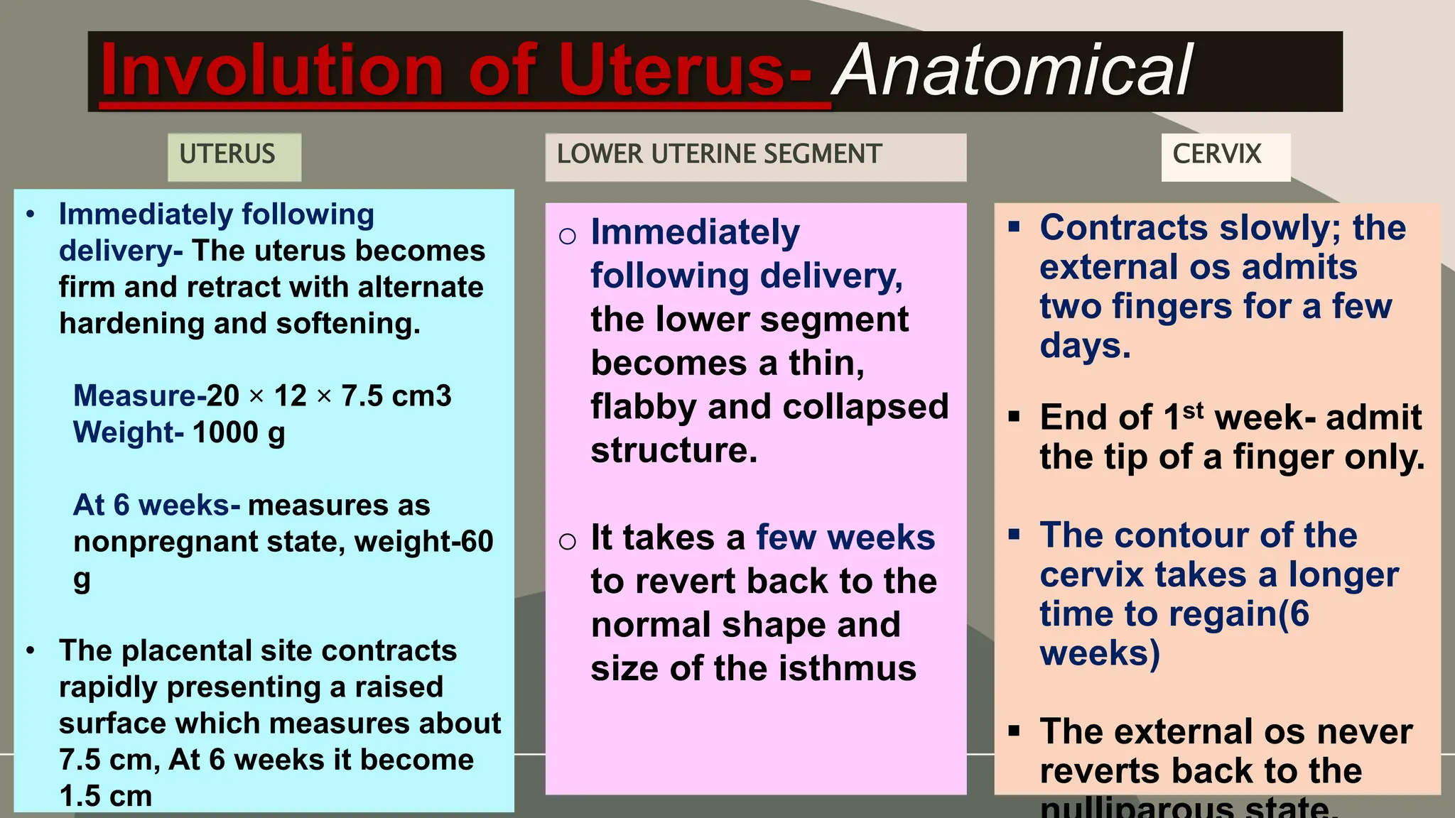 Management of puerperium.pptx, Gynecology and obstetrical Nursing ...