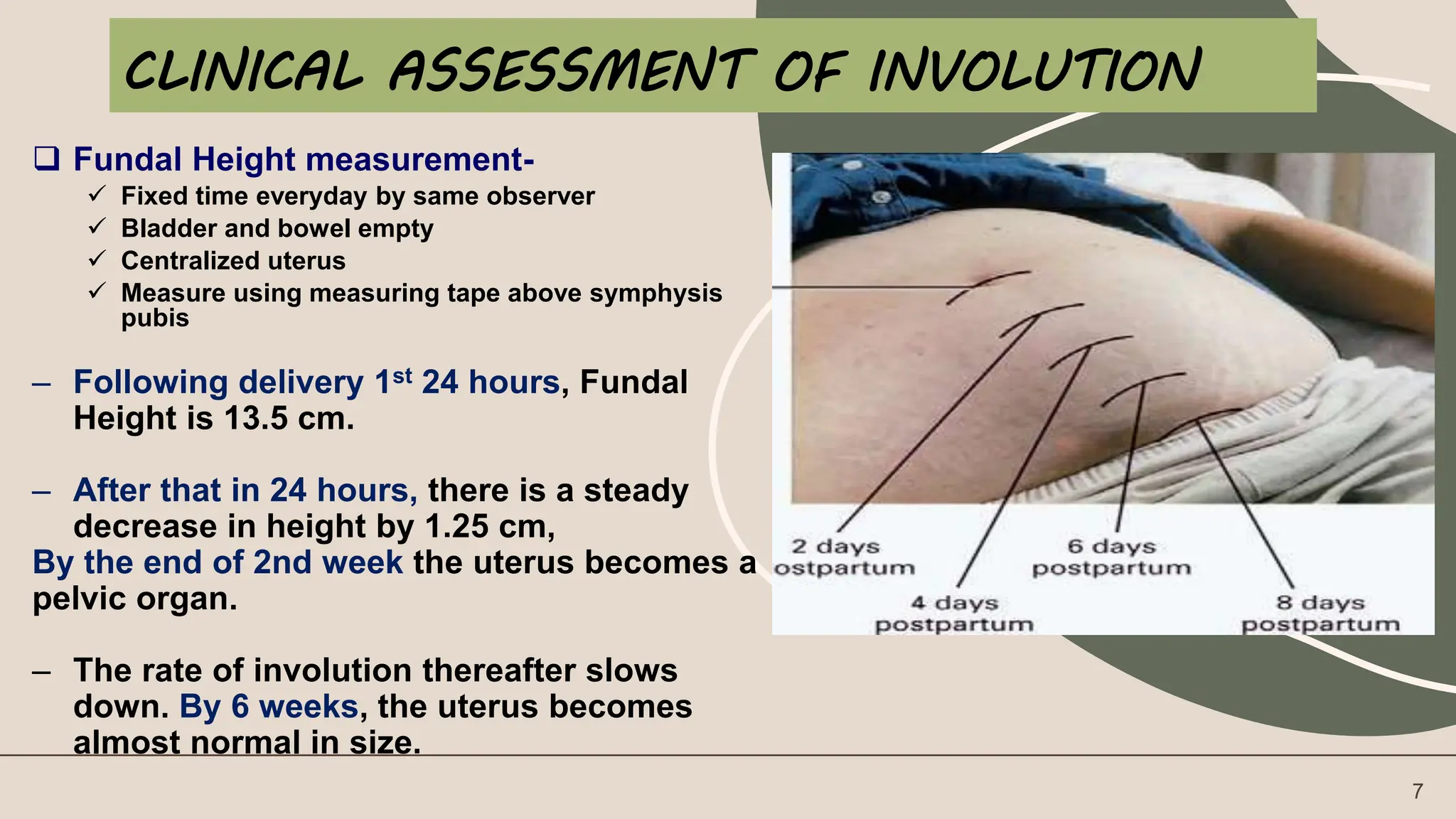 Management of puerperium.pptx, Gynecology and obstetrical Nursing ...