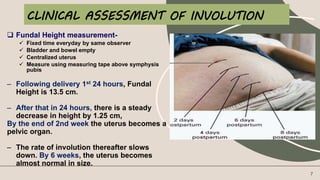 Management of puerperium.pptx, Gynecology and obstetrical Nursing ...