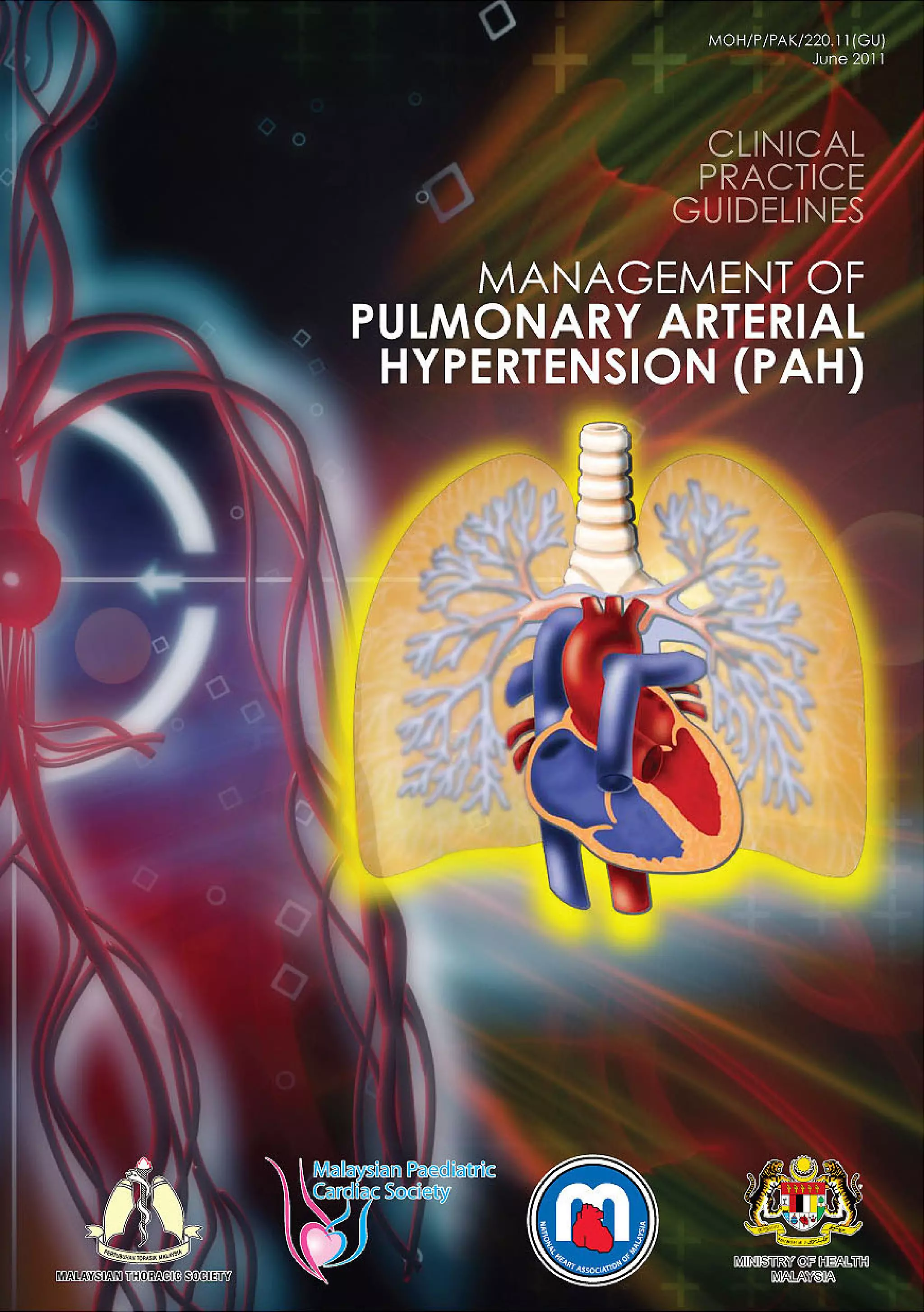 CPG Management of pulmonary arterial hypertension (pah) | PDF