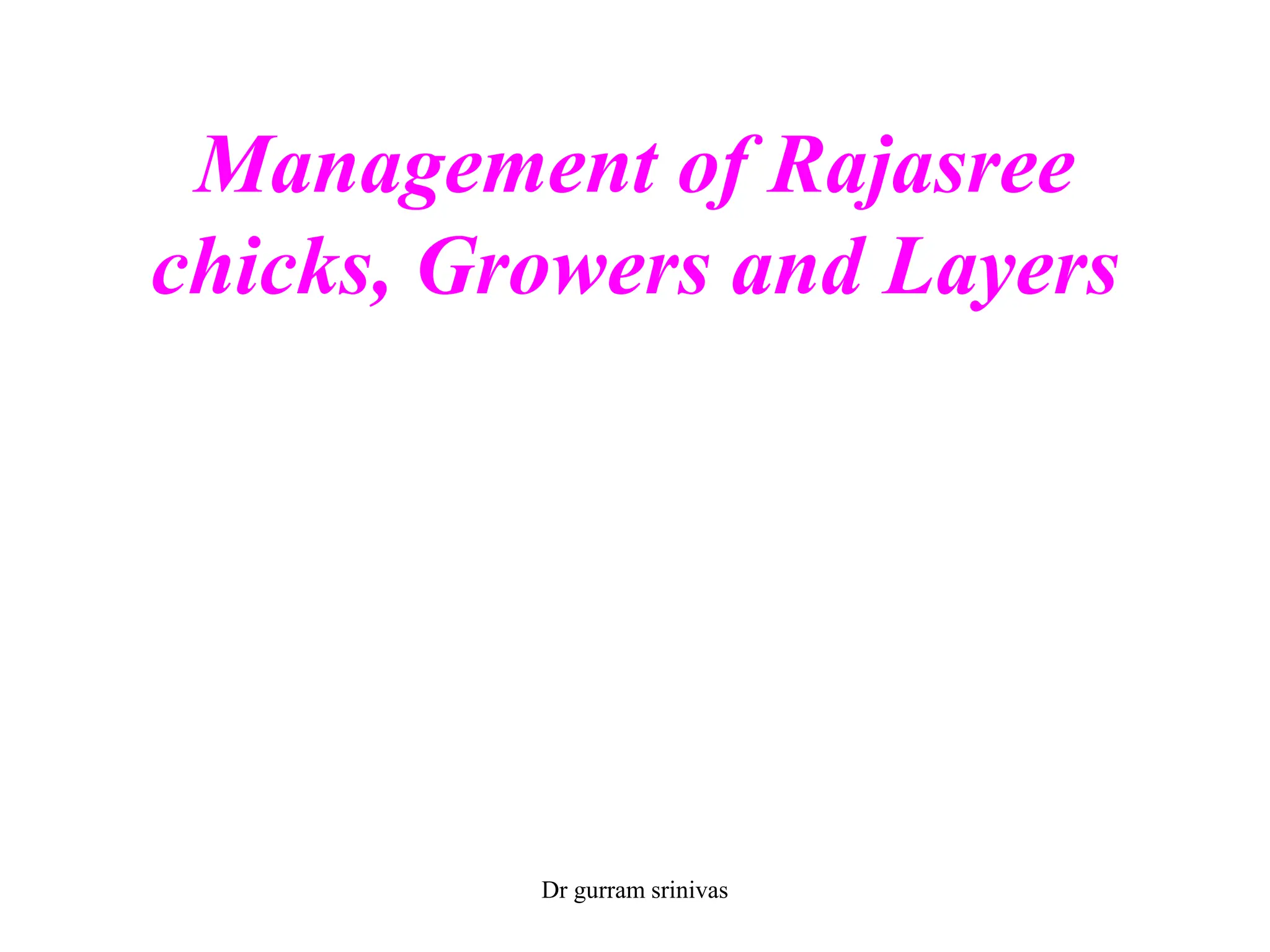 Management of Rajasree chicks, Growers and Layers | PPT