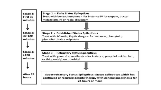 Management of Refractory, Super refractory SE and.pptx