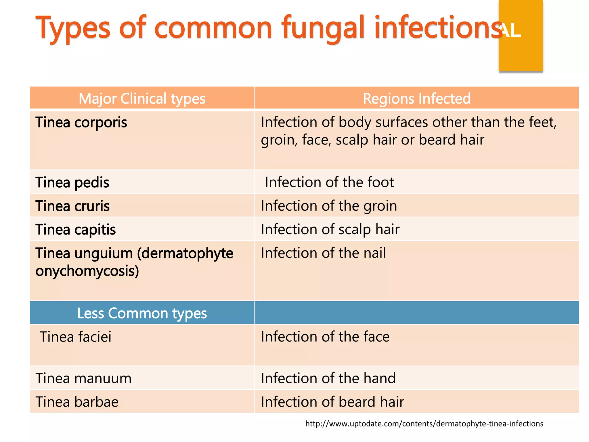 Management of resistant fungal infections- DR-Madhulika.pptx