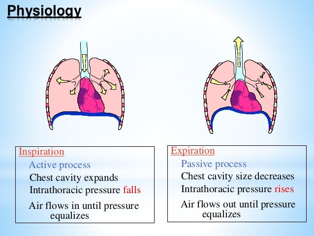 Management of respiratory emergencies