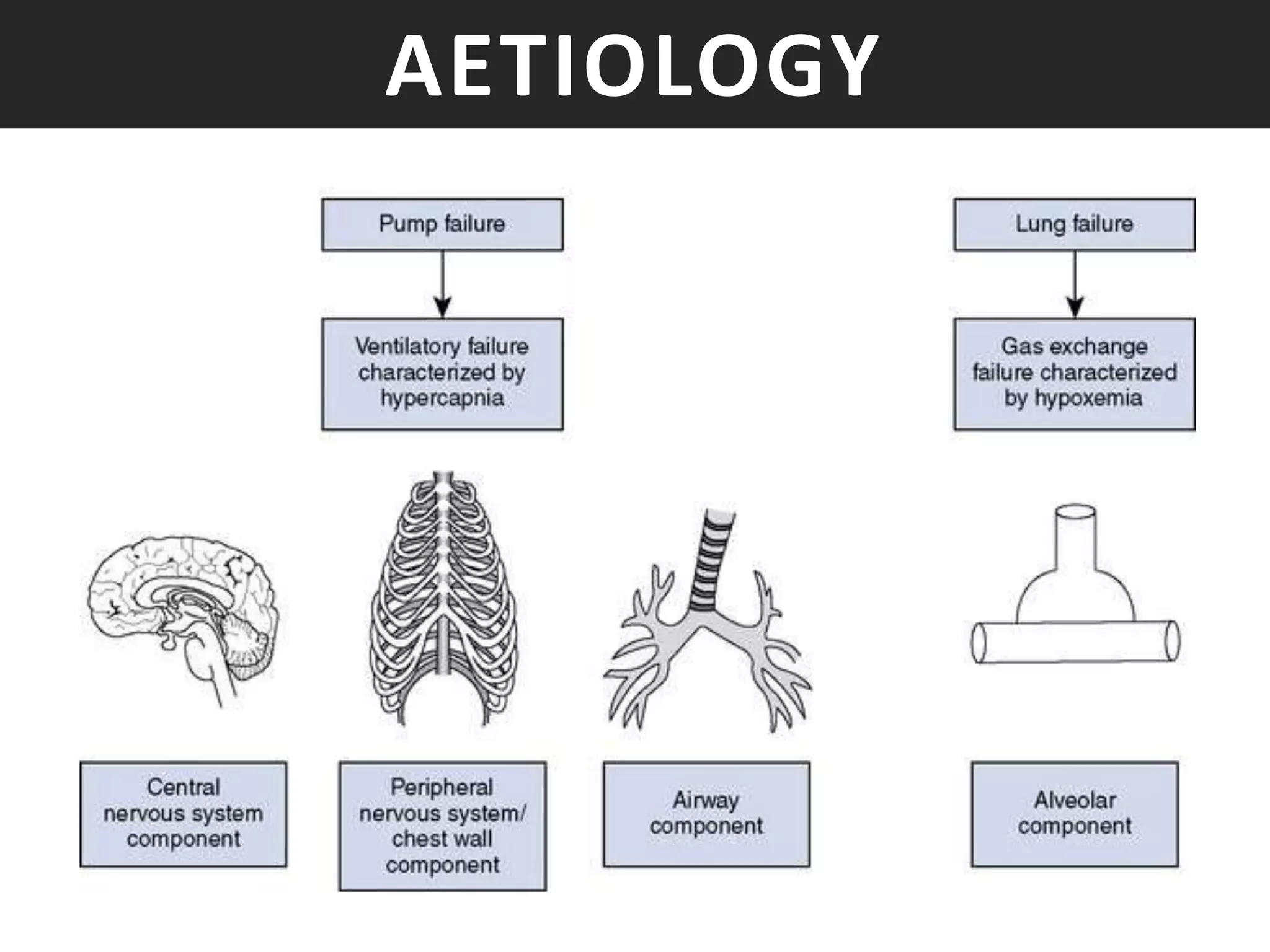Management of Respiratory Failure | PPTX