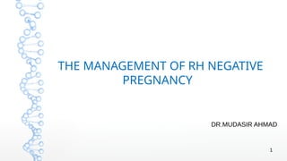 MANAGEMENT OF RH NEGATIVE pregnancy by dr mudasir | PPTX
