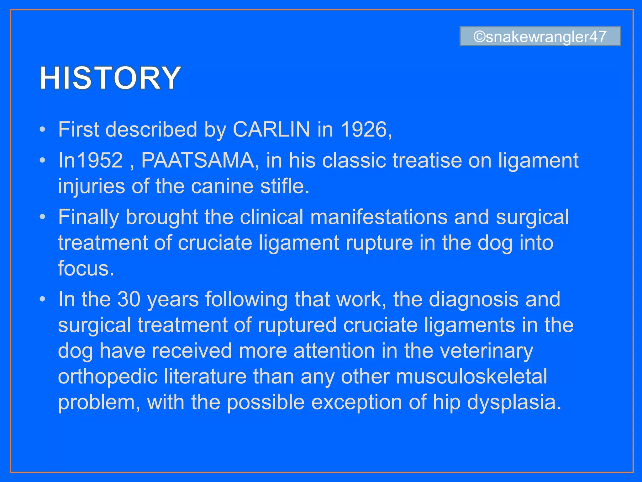 Management of ruptured cruciate ligament in dogs | PPTX