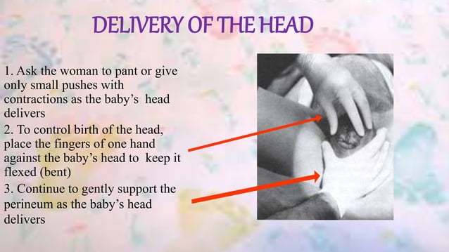 Management of second stage of labour | PPTX | Pregnancy | Reproductive ...
