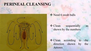 Management of second stage of labour | PPTX