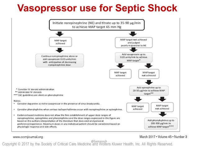 Management of sepsis and septic shock | PPTX | First Aid | Injuries