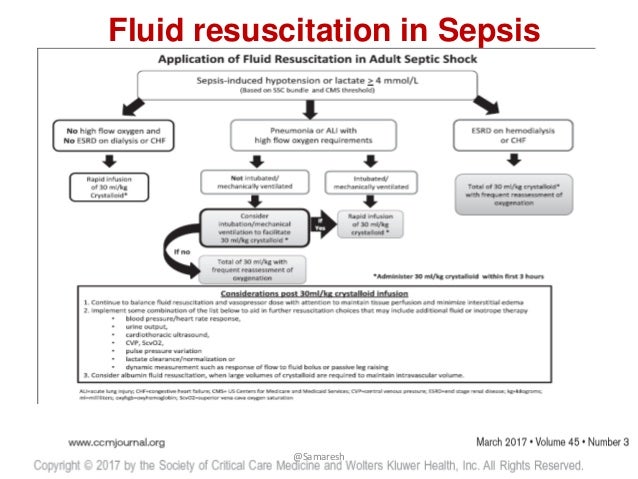 Management Of Sepsis And Septic Shock