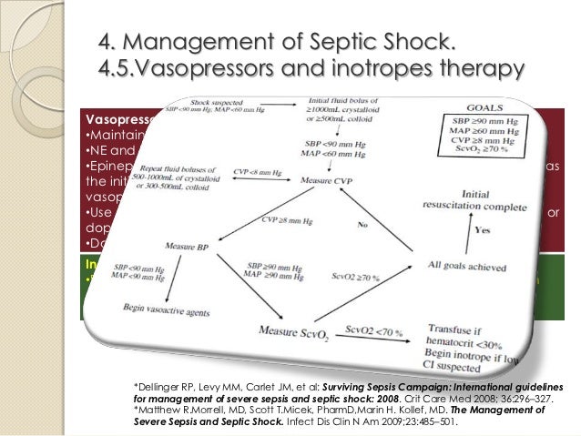 Management Of Septic Shock – Management of sepsis and septic shock – UBZMS