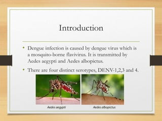 Management of Severe Dengue.pptx