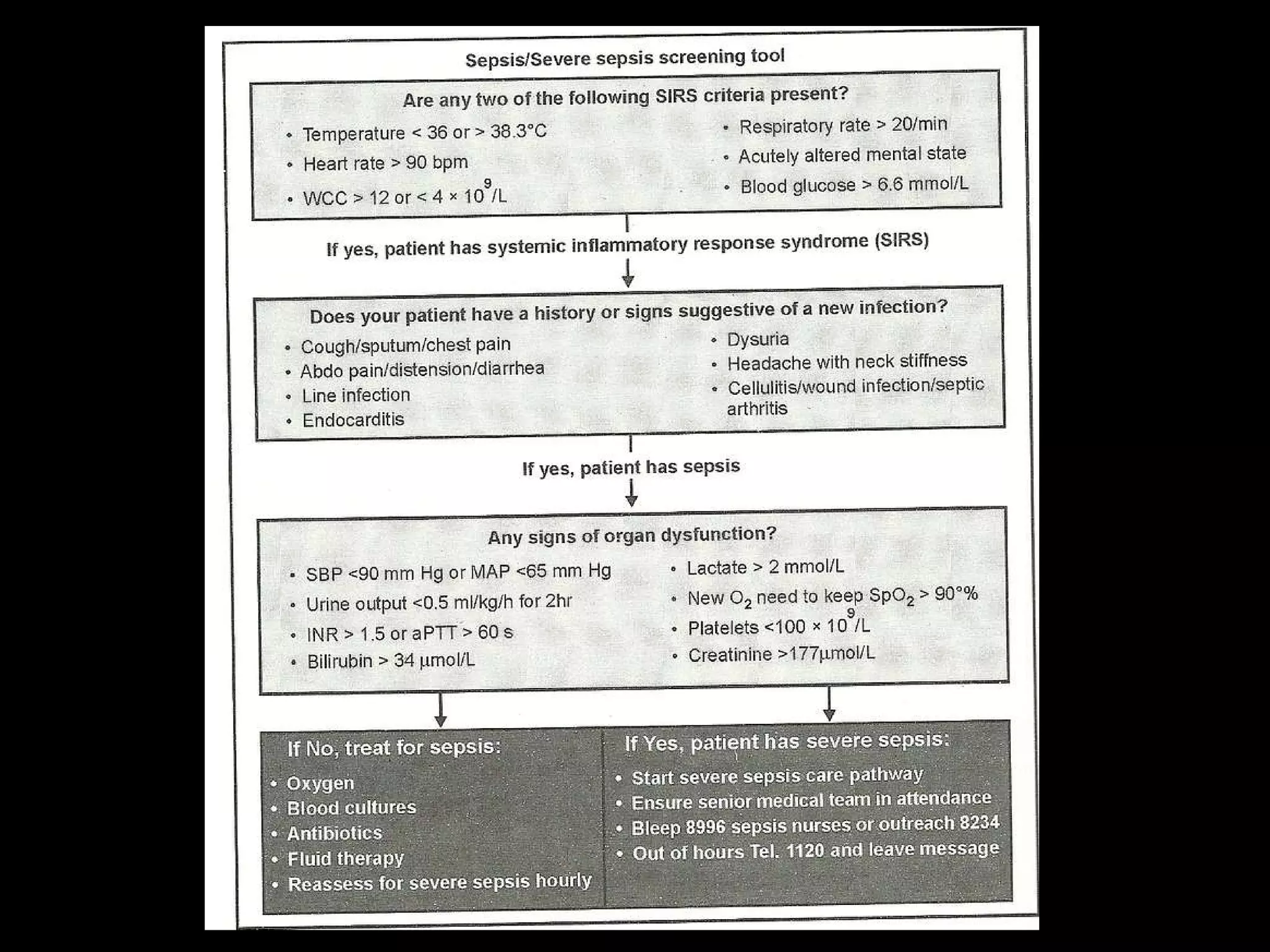 CME: Management of Severe Sepsis & Septic Shock | PPT