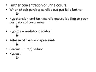 MANAGEMENT OF SHOCK.pptx