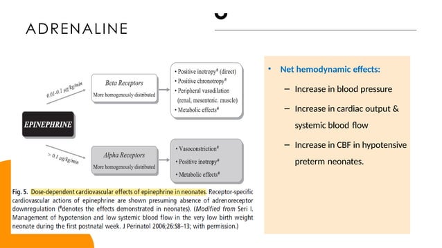 Neonatal Shock Management: A Comprehensive Appraoch | PPT