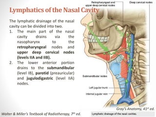 Management of sinonasal tract tumors 27082018 | PPTX