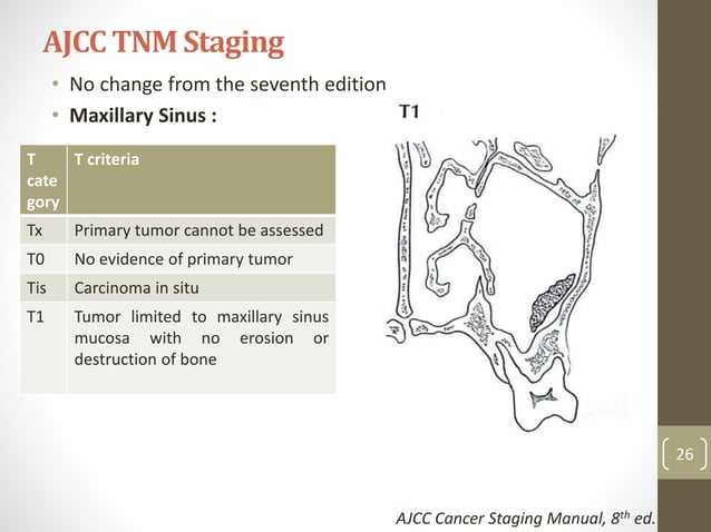 Management of sinonasal tract tumors 27082018 | PPTX | Ear, Nose and ...