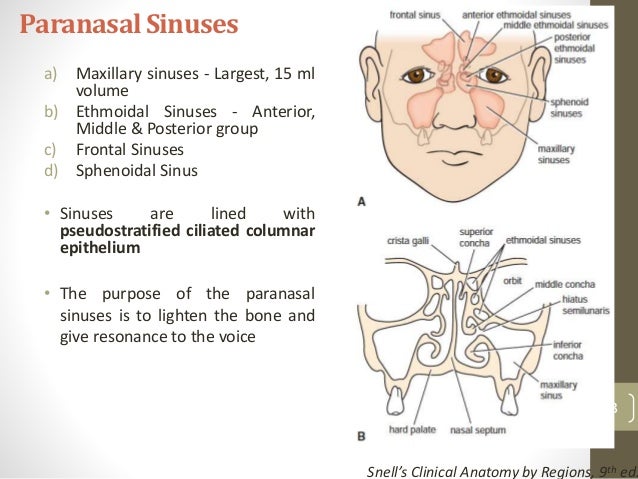 Management of sinonasal tract tumors 27082018