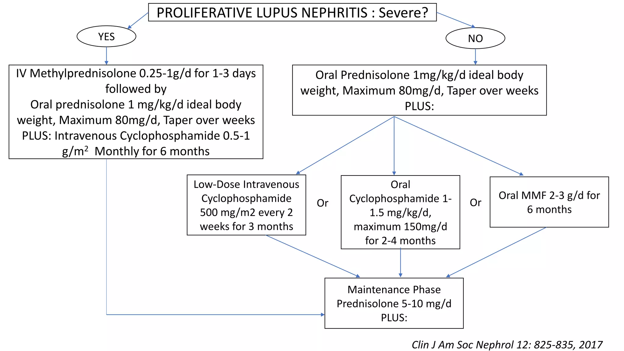 management of SLE.pptx