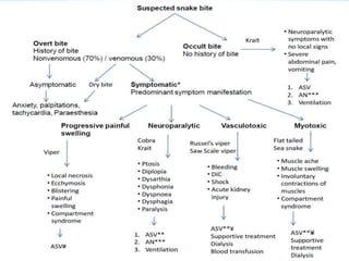 Management of snake bite | PPTX