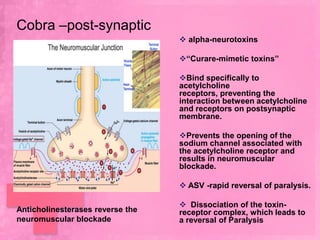 Management of snake bite victims | PPT