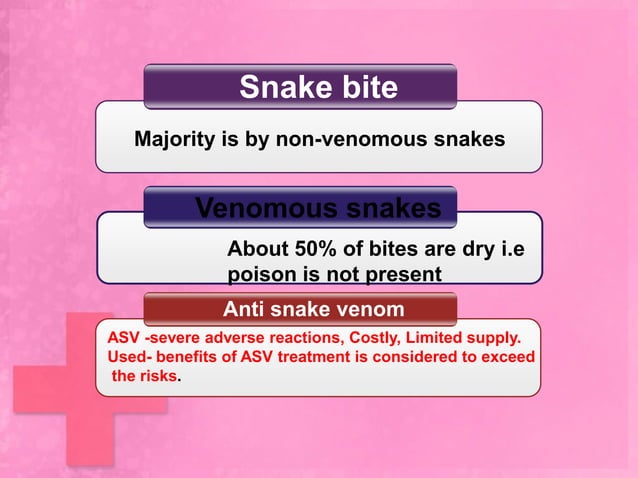 Management of snake bite victims | PPTX