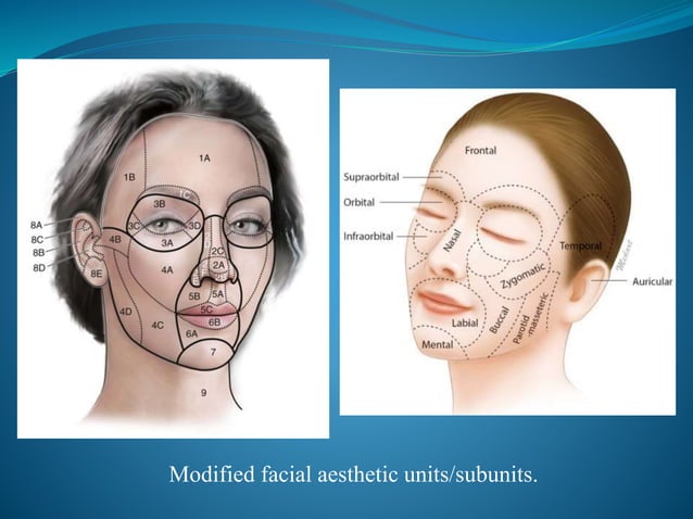 Management of soft tissue injuries in facial trauma | PPTX