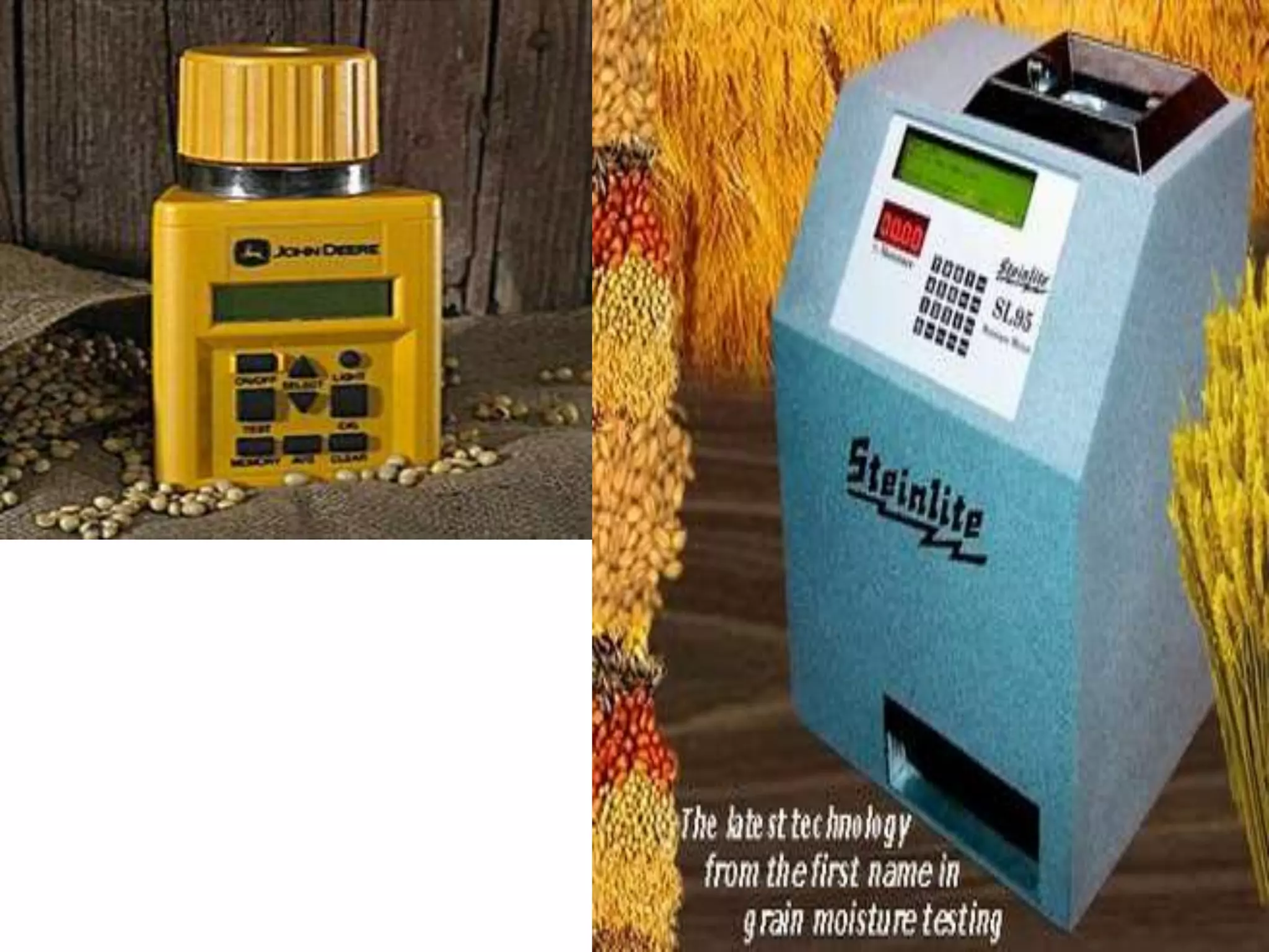 Management of stored grain insect pest | PPTX